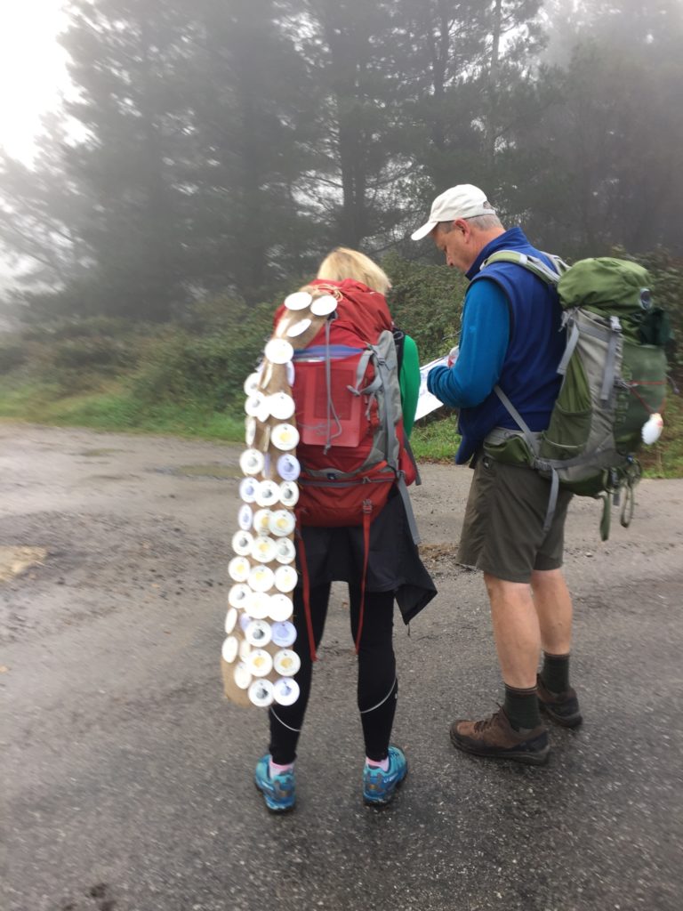 » On the Pilgrimage – Update 2